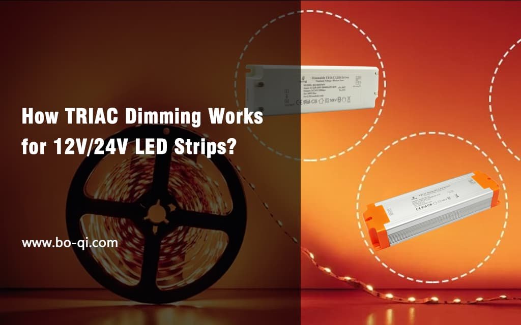 DALI Dimming: A Beginner’s Guide to Digital Lighting Control - boqi ...